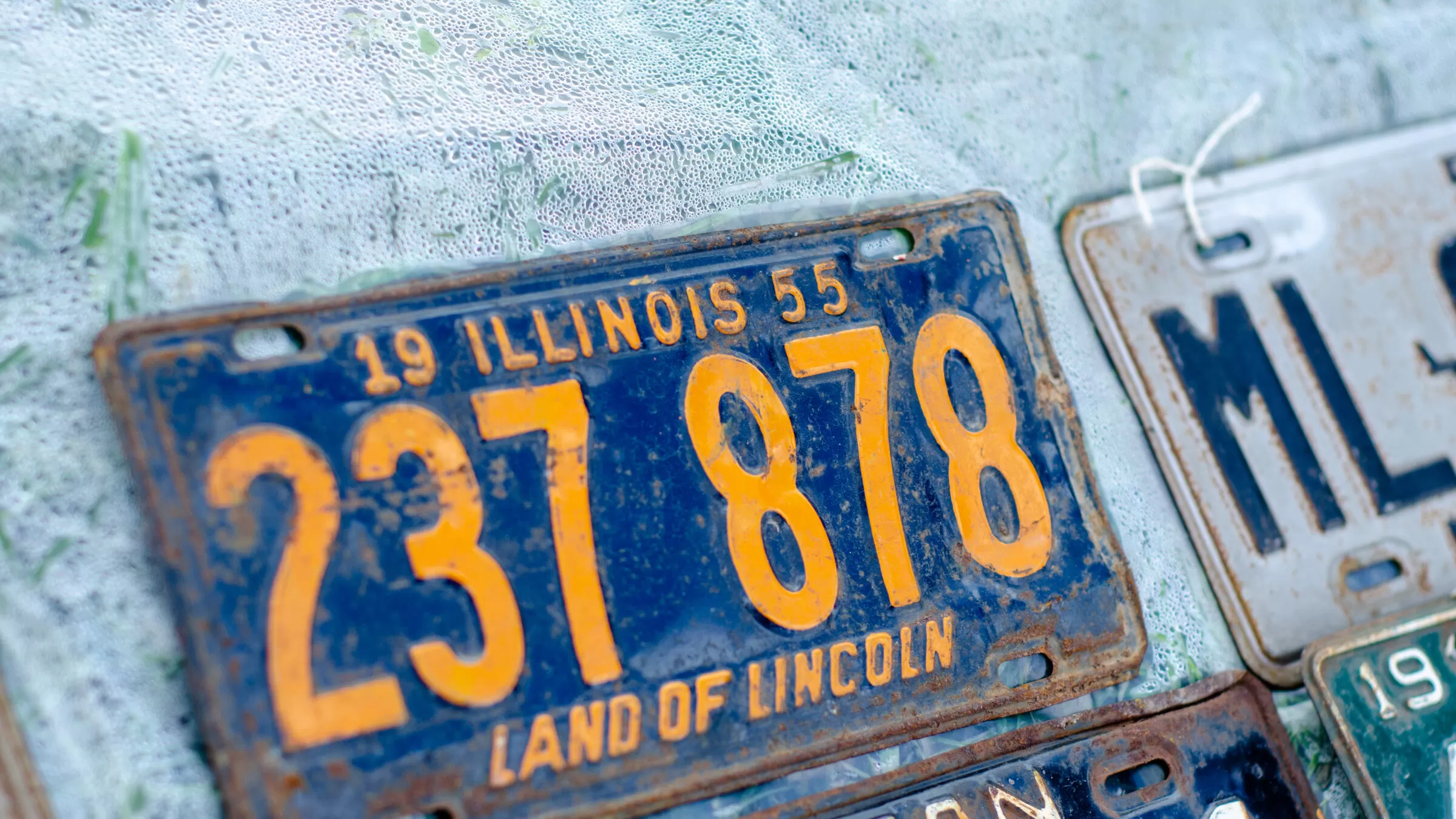 Illinois License Plate Cameras Are Violating People's Constitutional ...